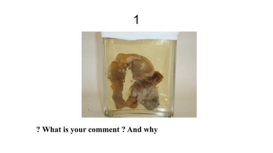 practical group forensic medicine c.pptx