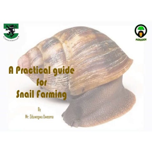 Practical guide to snail farming | PDF