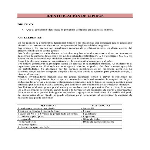 Practica Lipidos 2 Docx