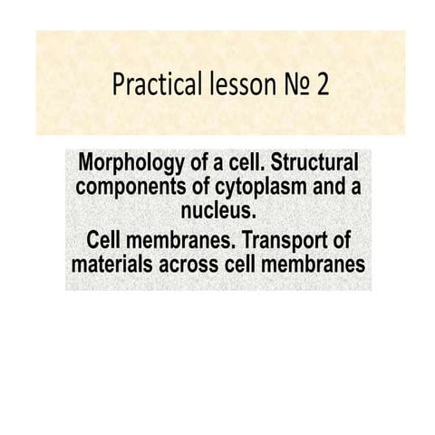 Practical lesson №2 (2)-1.pptx