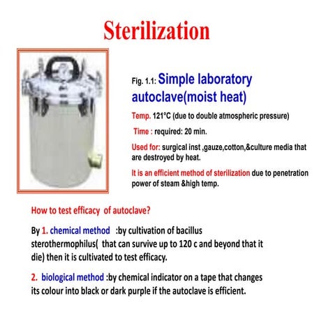 Practical micro | PPTX