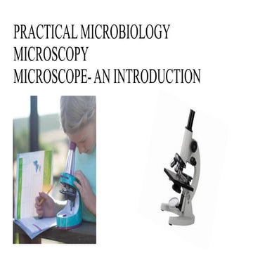 Practical microbiology and staining and examination of slides | PDF ...
