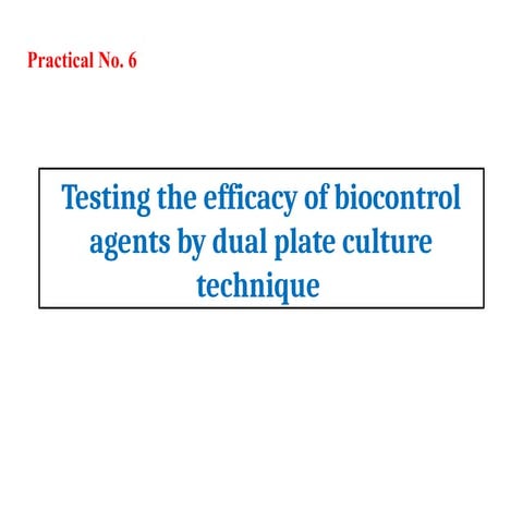 Practical No. 6 Testing the efficacy.pptx