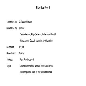 Practical No practical practical practical 3.pptx