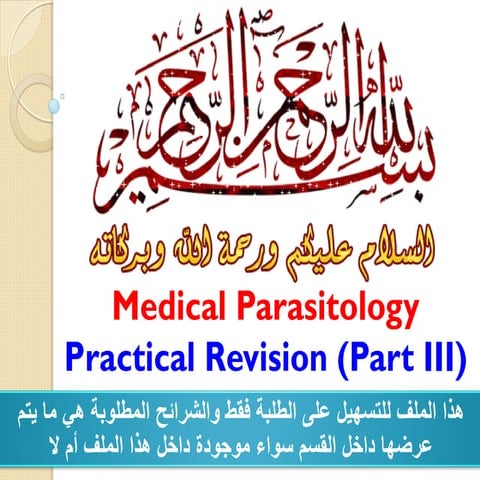 Practical revision part 3 | PDF
