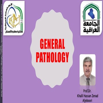 Practical slides i | PPT