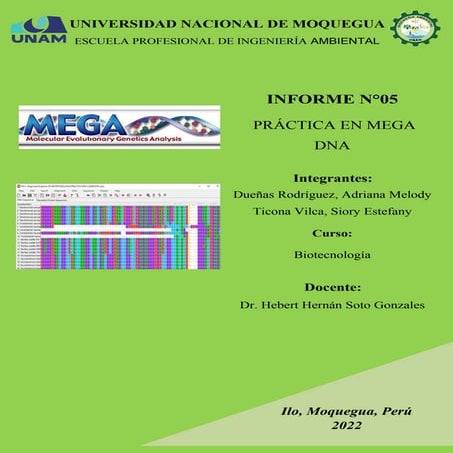 INFORME 1- ELABORACIÓN DE ENDOGRAMAS CON MEGA DNA (GRUPO 2A).pdf