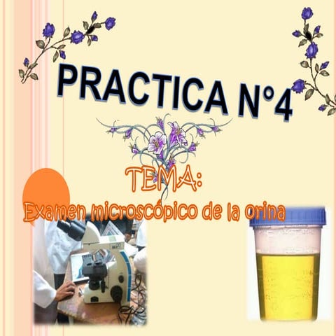 BACTERIAS , PARASITOS Y LEVADURAS EN LA ORINA | DOCX