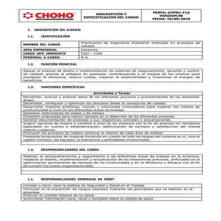 Practicante de ingenieria industrial (1) (1) | PDF
