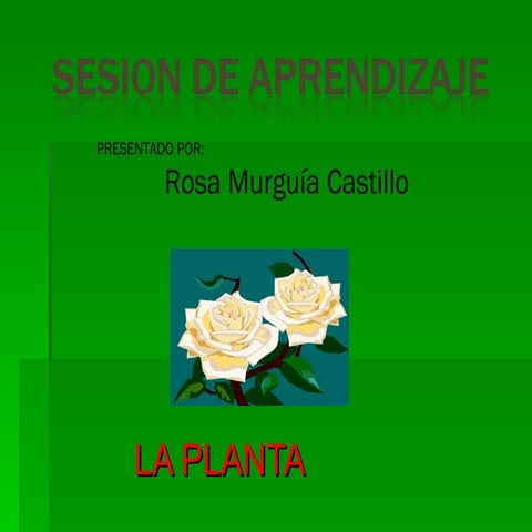 Las plantas | PPT