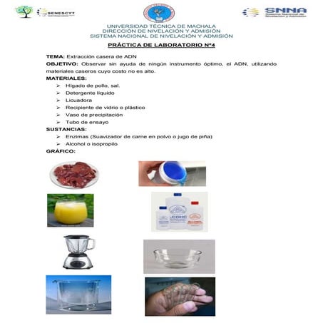 Practicas de laboratorio | DOCX