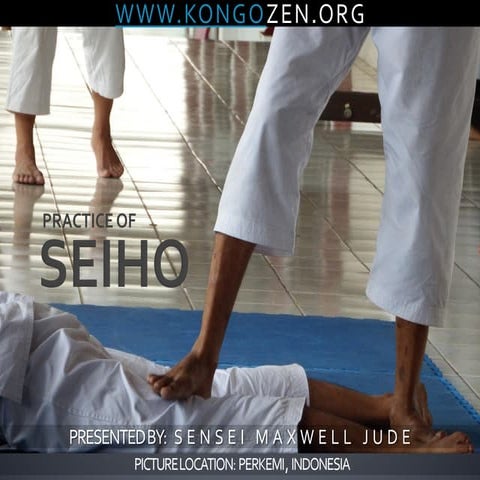 PRACTICE OF SEIHO | PDF