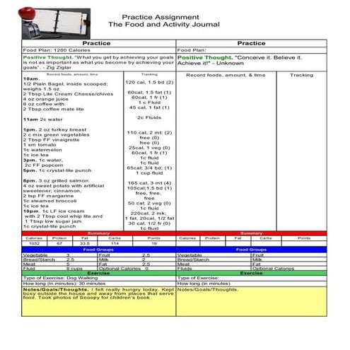 Food and Activity Journal | PDF | Food & Drink