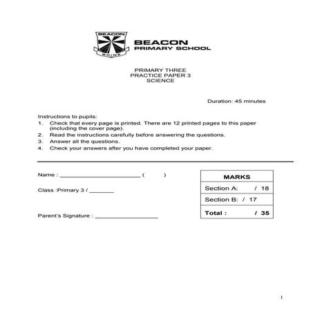 Science Practice Paper 3 | DOCX