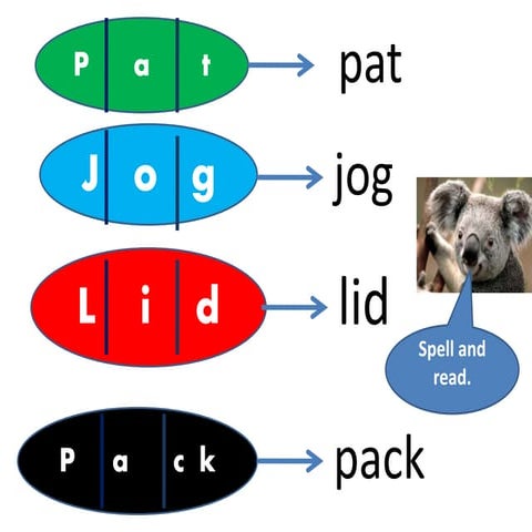 Practice reading for year 1 | PPTX