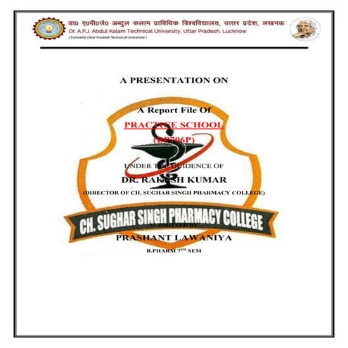 Practice School Report | PDF