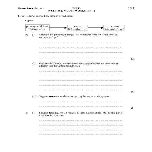 Practice sheet system & models 2 | PDF