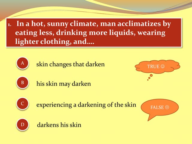 Practice True False Pp Ppt