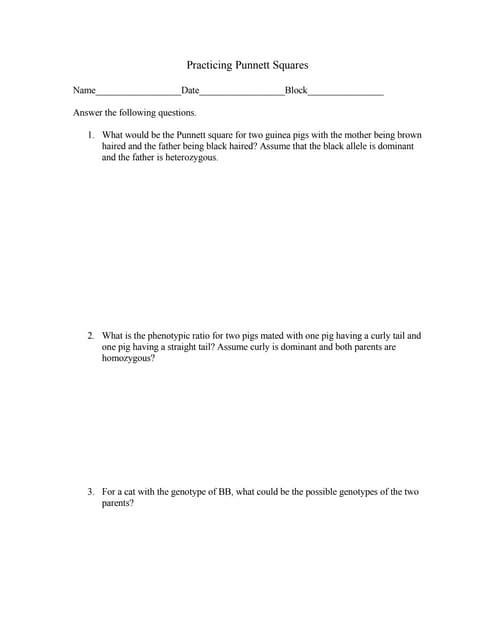 Punnett Square Practice Problems.ppt
