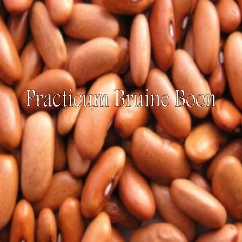 Practicum bruine boon | PPTX