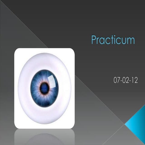 Practicum oog snijden | PPTX
