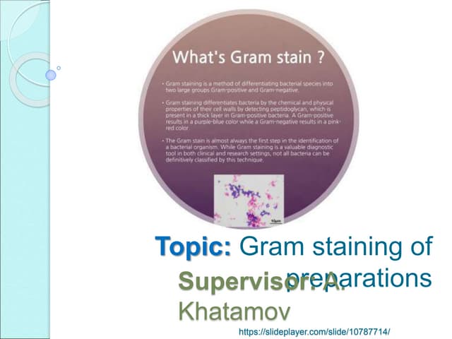 Gram Staining Technique | PPTX