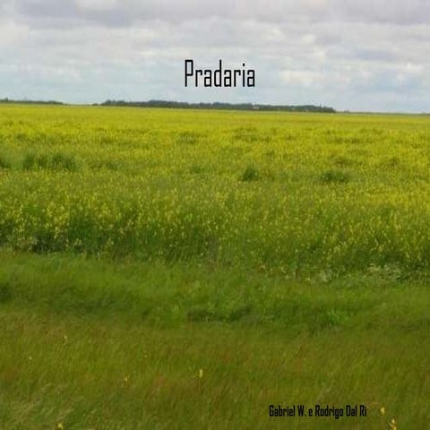 Pradaria | PPTX