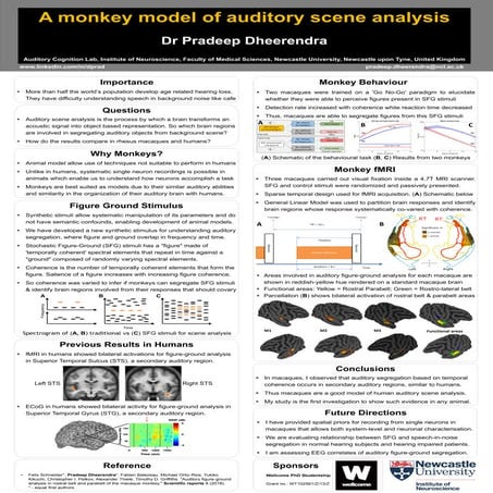 A monkey model of auditory scene analysis | PDF