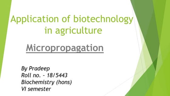 Micropropagation | PPTX
