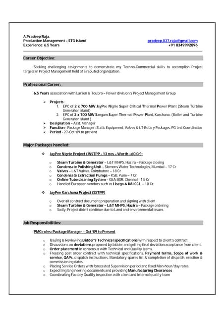 DEEPU CV | PDF