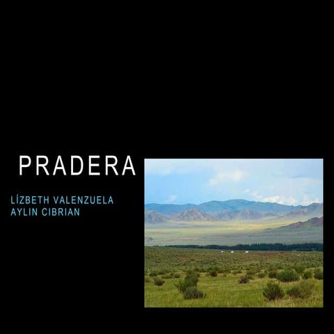 Pradera | PPT