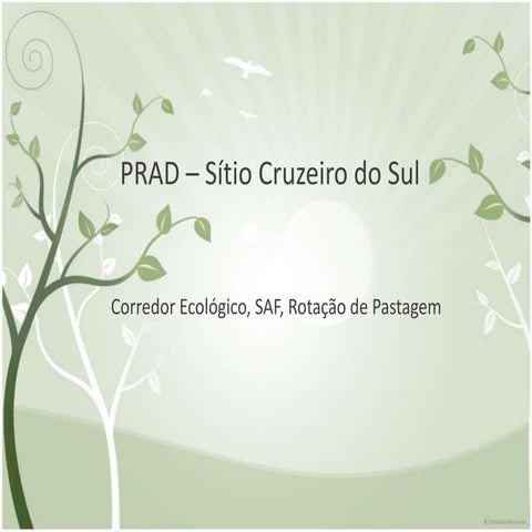 Prad | PPTX