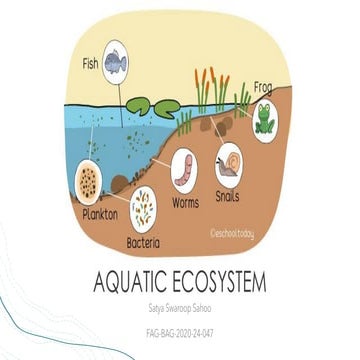 Aquatic Ecosystem | PDF