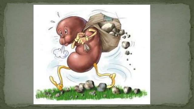 Ureteroscopic lithotripsy (URSL) | PPTX