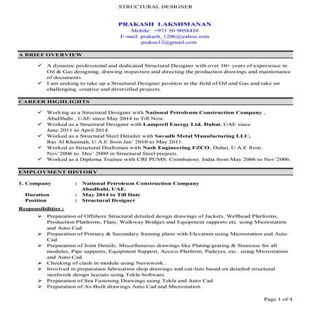 Structural Designer | PDF