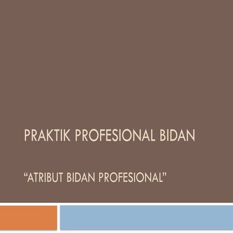 Praktik Profesional Bidan atribut bidan.pptx