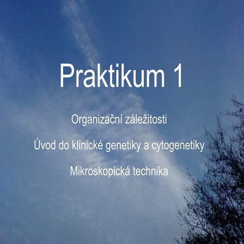 Praktikum 1 07 | PPT