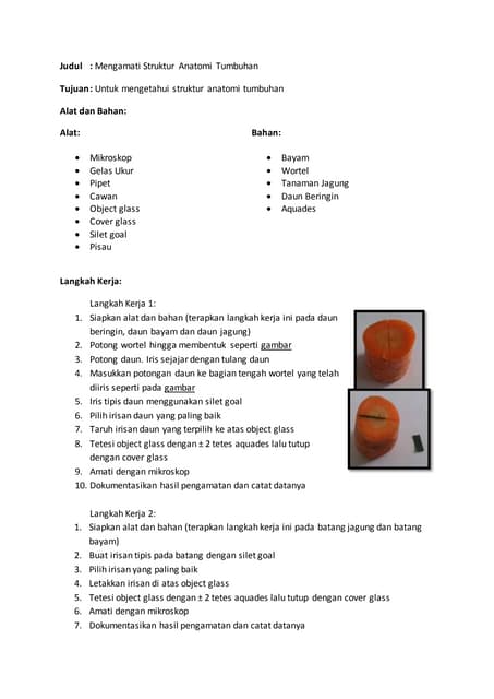 Pembuatan preparat segar | PPT