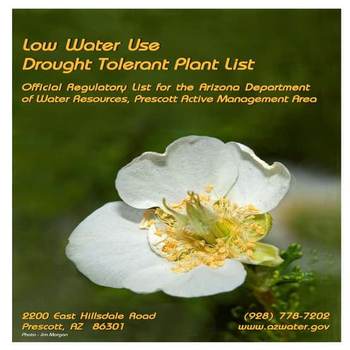 Low Water Use Drought Tolerant Plant List - Prescott, Arizona | PDF