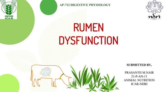 Digestive system of camel | PPTX | Digestive Disorders | Diseases and ...