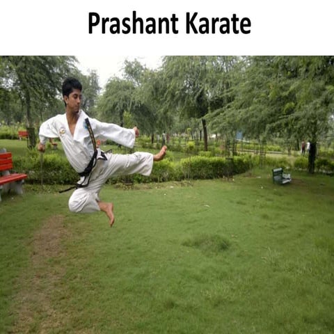 Prashant karate | PPTX