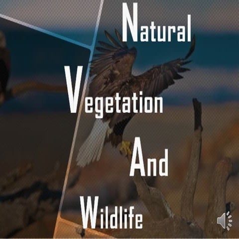 natural vegetation & wildlife | PPT