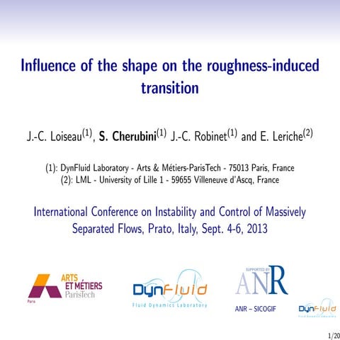 ICOMASEF 2013: Influence of the shape on the roughness-induced transition | PDF | Physics | Science