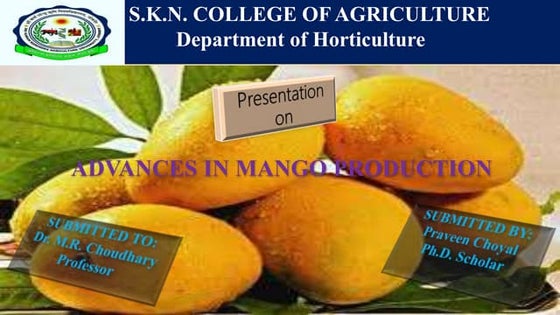 Mango In South East Asia Ppt
