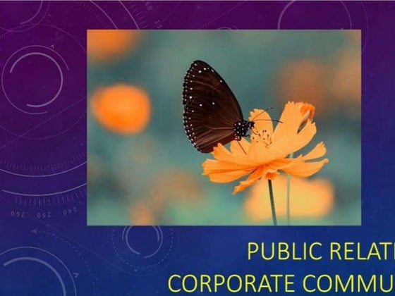 Holistic and partial thinking.pptx