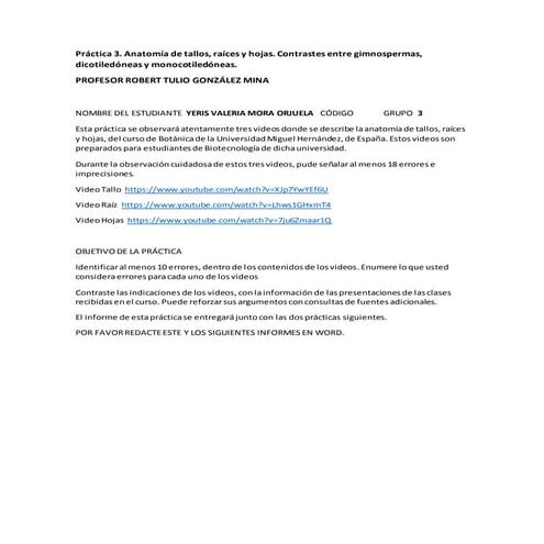 Práctica 4 Estructuras hoja c3 y c4 (1).docx