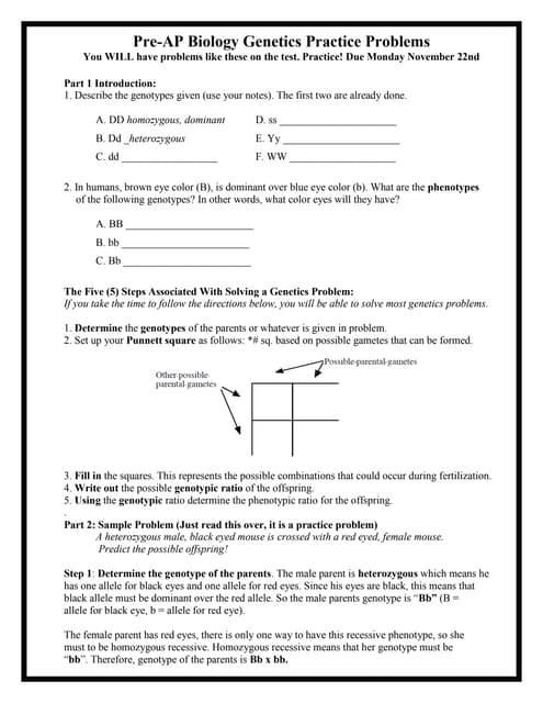 Punnett Square Practice Problems.ppt