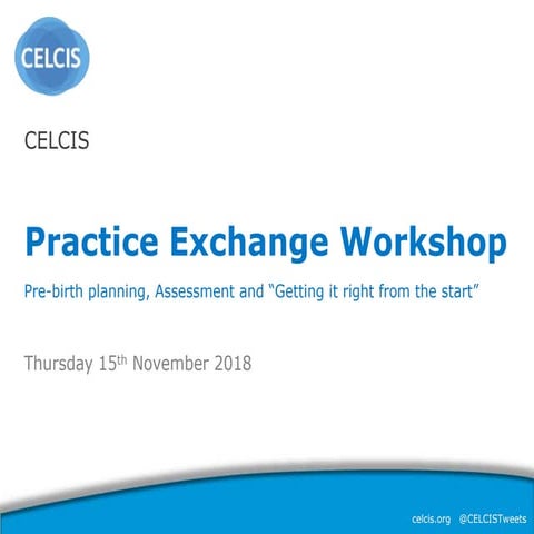 Practice Exchange Workshop: Pre-birth planning, Assessment and “Getting ...