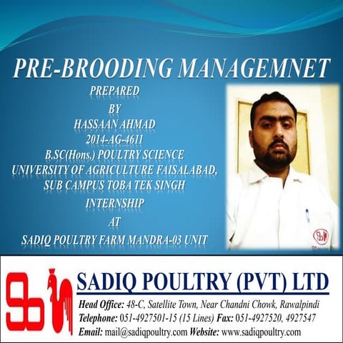 "Pre-Brooding Management" | PPTX