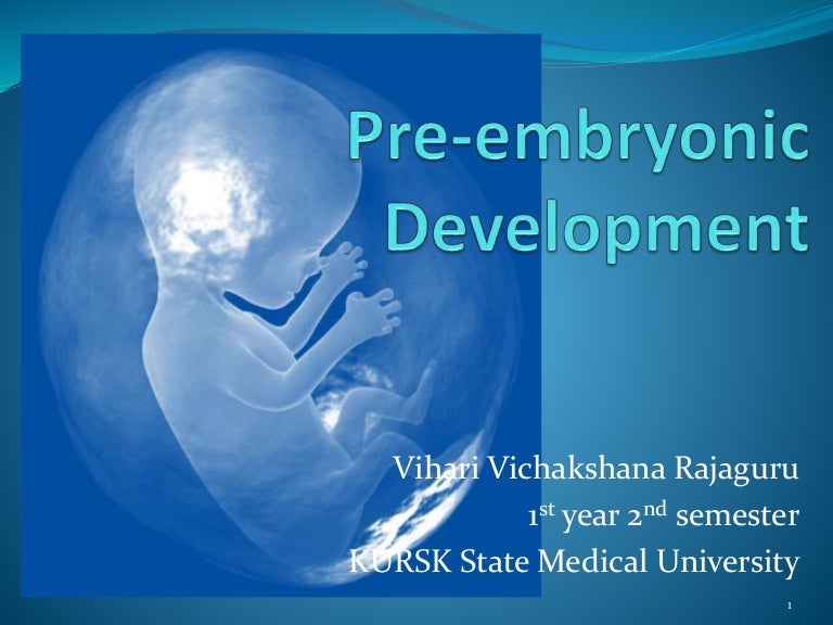 Pre embryonic development